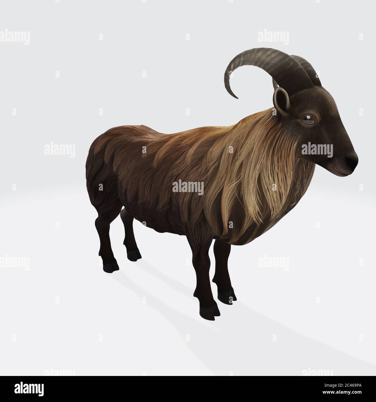 Graphic illustration of a 3D rendered mouflon isolated on the white ...