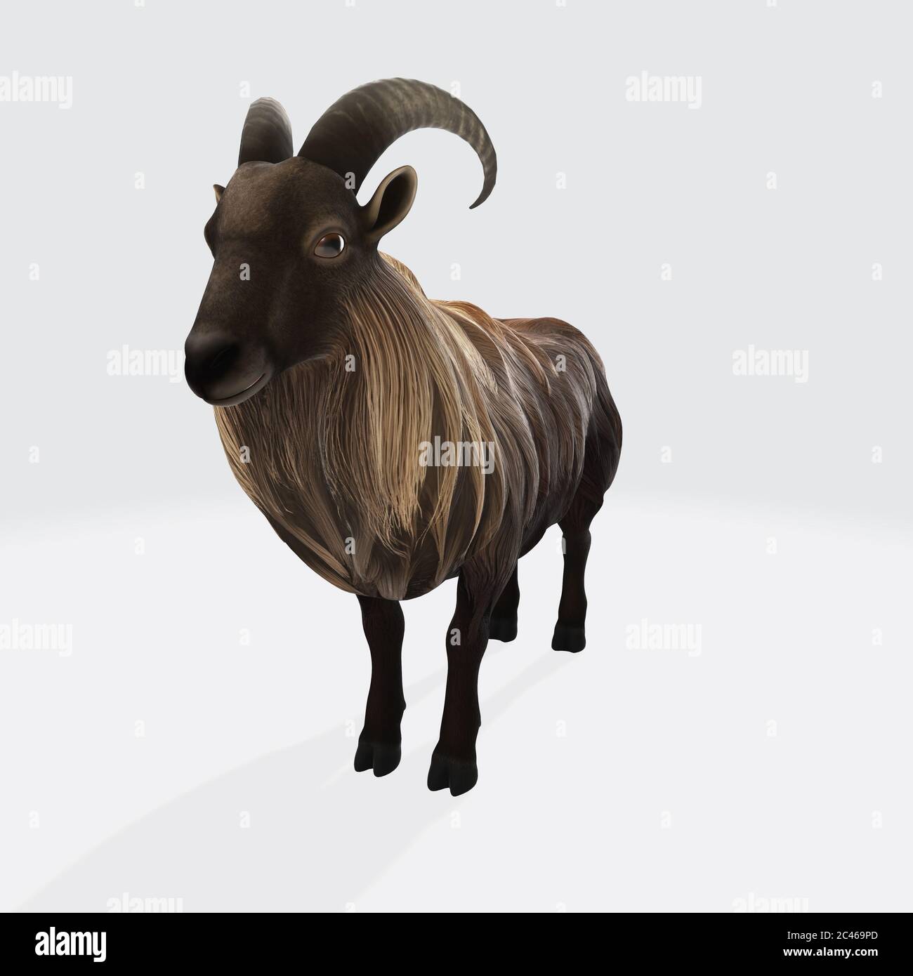 Graphic illustration of a 3D rendered mouflon isolated on the white ...