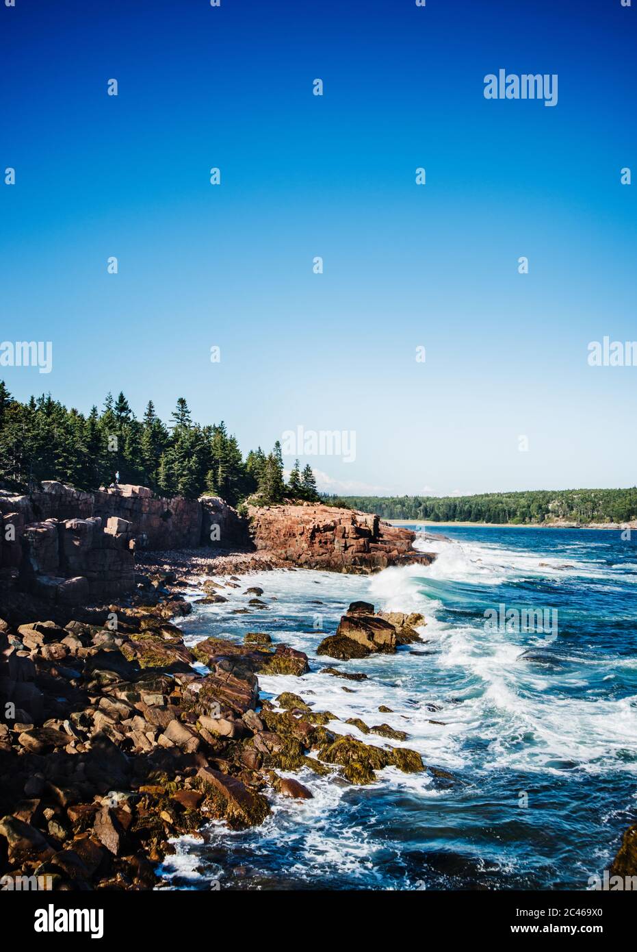 Otter cliffs, Acadia National Park, Maine, United States, North America ...