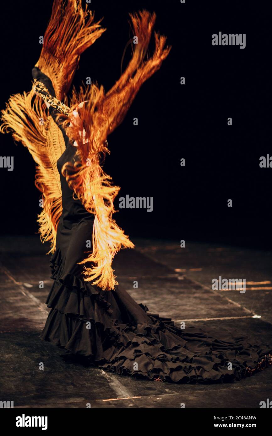 Flamenco dancer in traditional costume. Flamenco spanish dance on stage ...