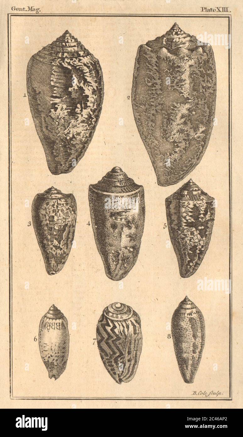 Volute hi-res stock photography and images - Alamy