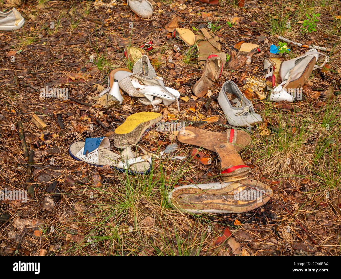 Old women shoes with heels are scattered on the ground in the forest ...