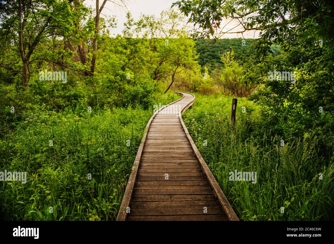 Appalachian trail bridge hi-res stock photography and images - Alamy