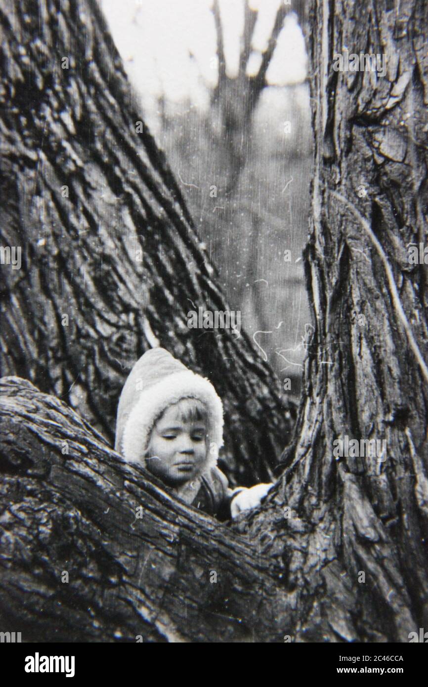 Kids hiding in trees hi-res stock photography and images - Alamy
