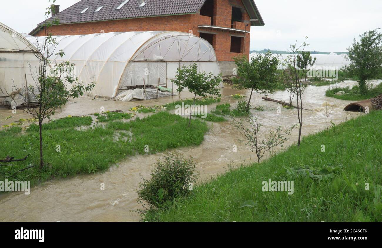Flooded field plantation with farm after heavy rains storm Stock Photo ...