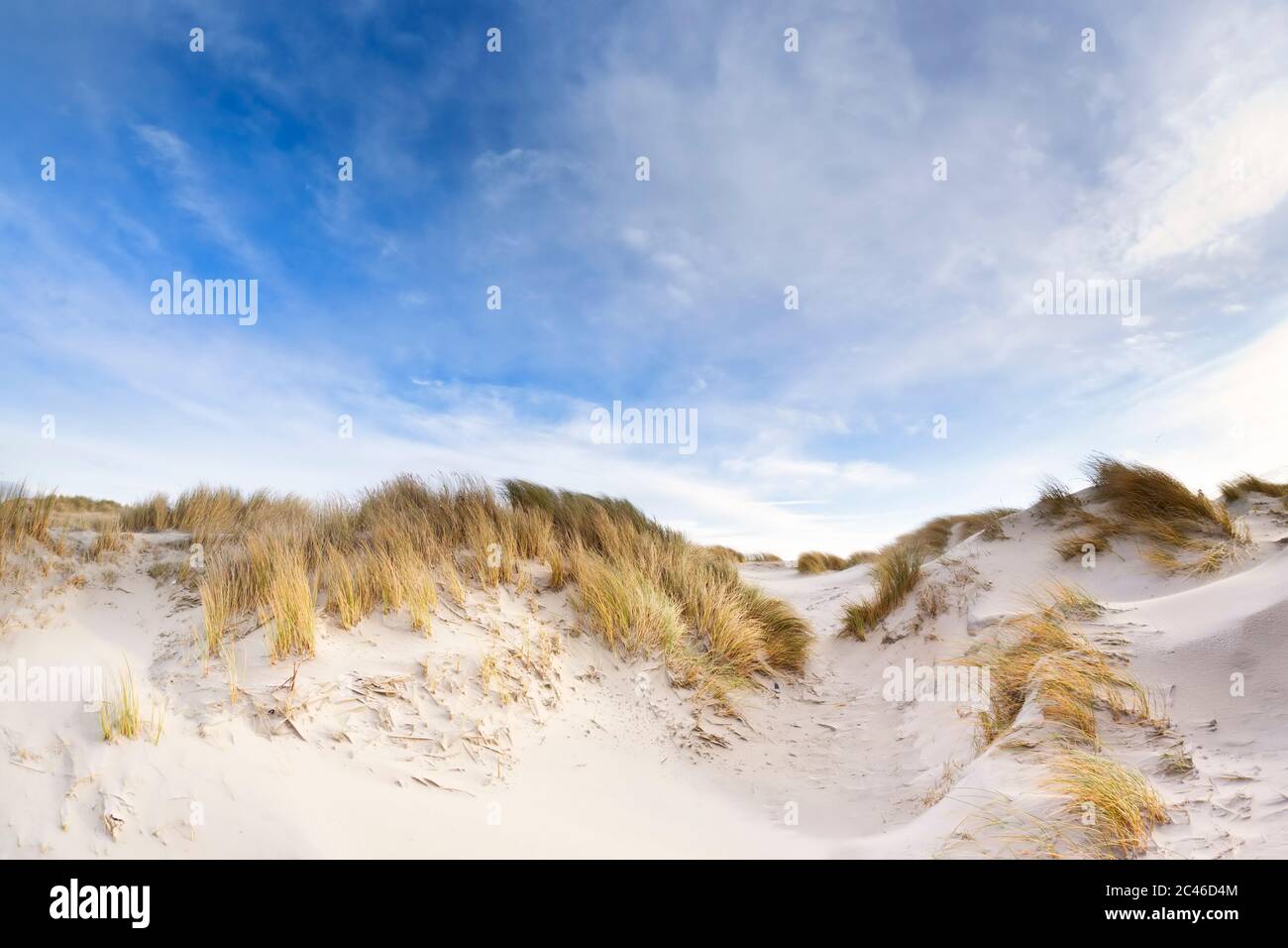 Island of borkum hi-res stock photography and images - Alamy