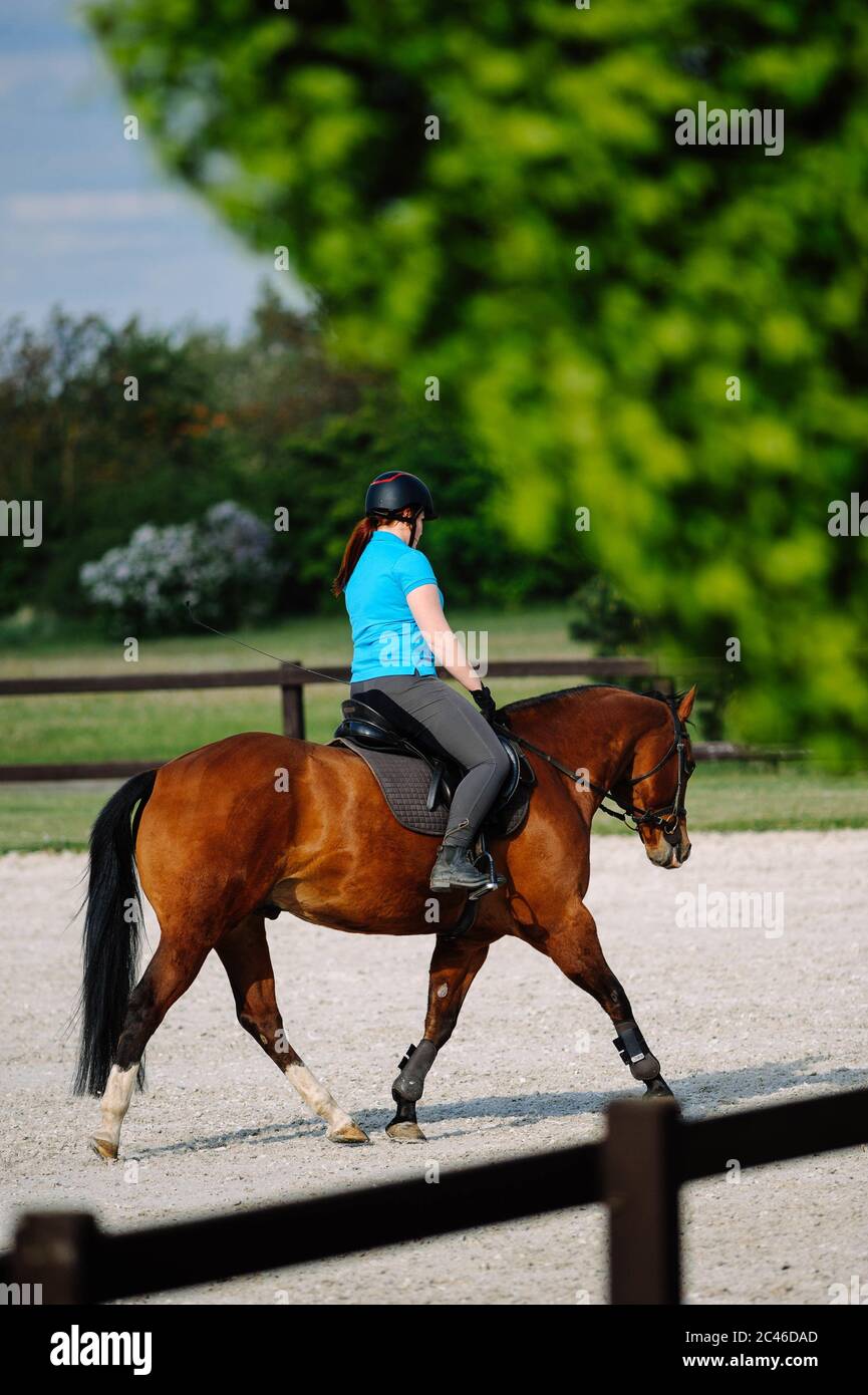Vertical shot of a female rides a horse on the background of the forest ...