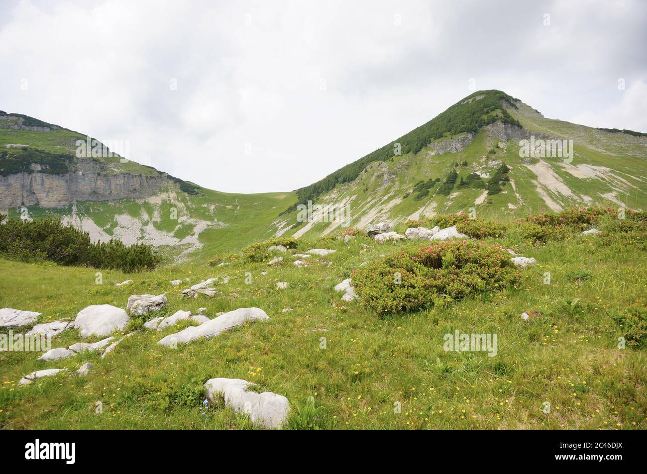 Breathtaking scene of the iconic Alps in Austria Stock Photo - Alamy