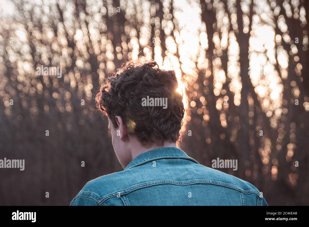 Golden hour walk Stock Photo - Alamy