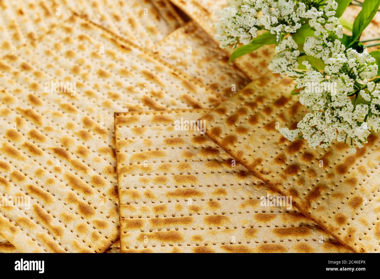 Matzah bread with white flowers. Jewish Passover holiday concept. Close ...