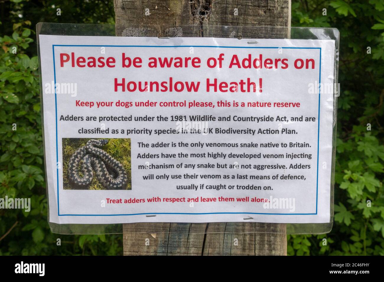 Adder warning hi-res stock photography and images - Alamy