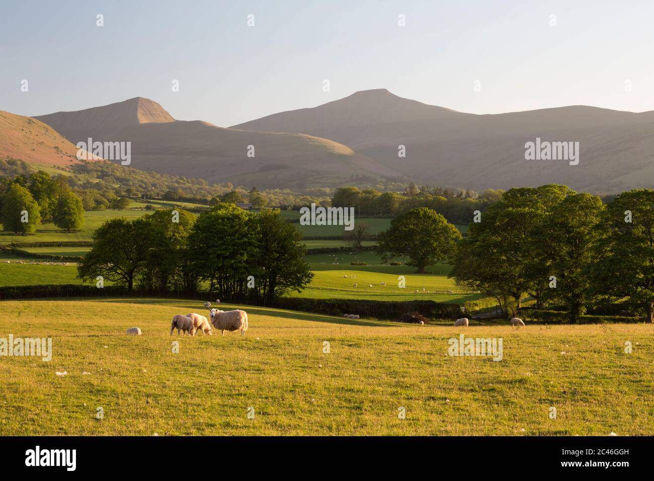 Pen y Fan and countryside, Llanfrynach, Brecon Beacons National Park ...
