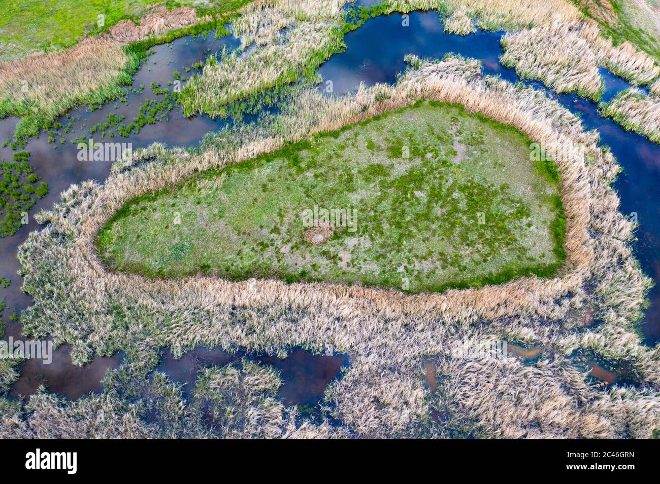 Swamp view from drone. Swampy landscape Stock Photo - Alamy