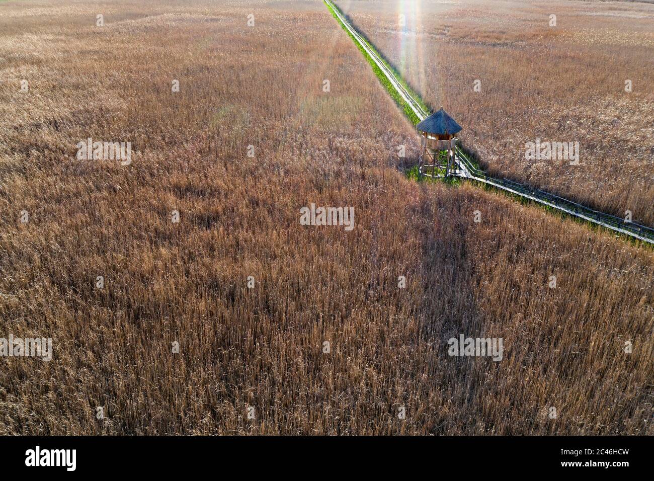 Marshes and Reeds wetland from top view aerial drone photo shoot Stock ...