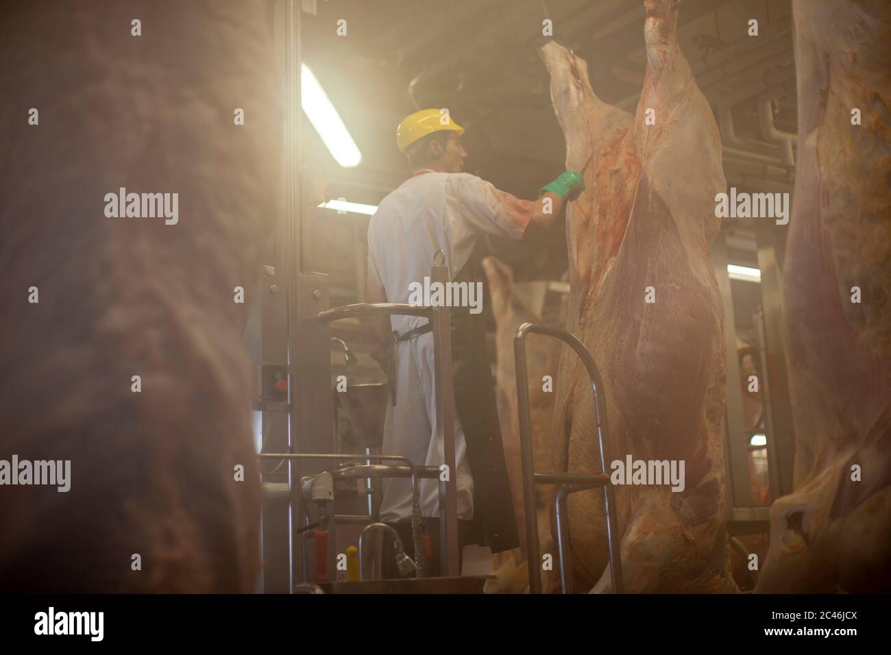 Butchers at work at a meat processing plant in the UK Stock Photo - Alamy