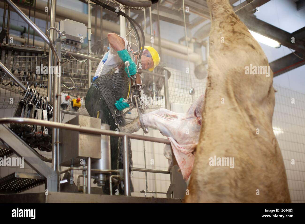 Butchers at work at a meat processing plant in the UK Stock Photo - Alamy