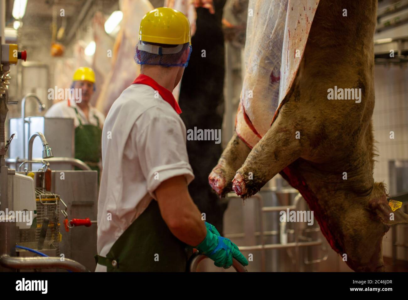 Meat processing plant uk hi-res stock photography and images - Alamy