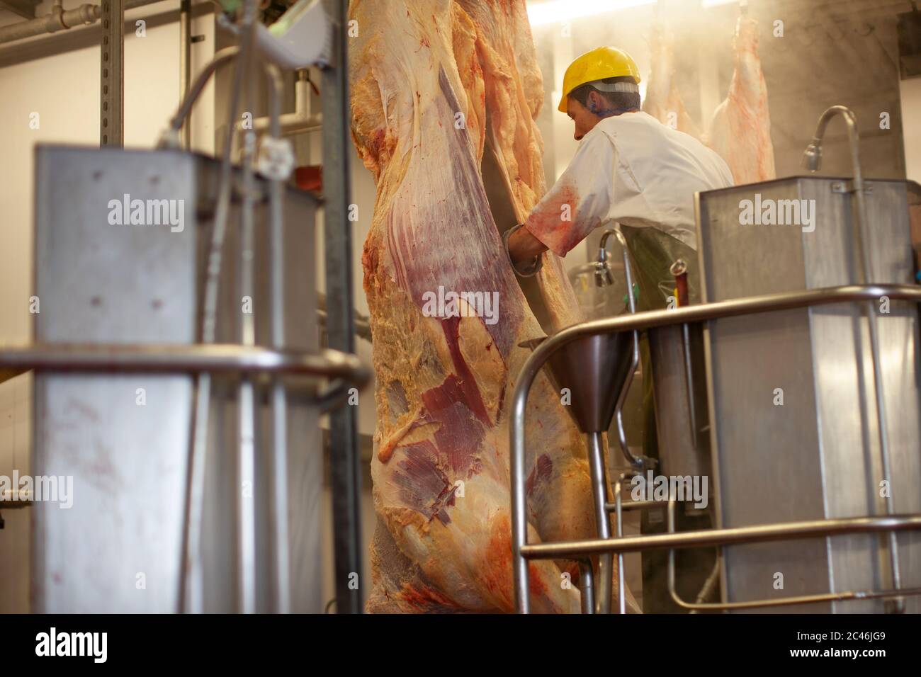 Butchers at work at a meat processing plant in the UK Stock Photo - Alamy