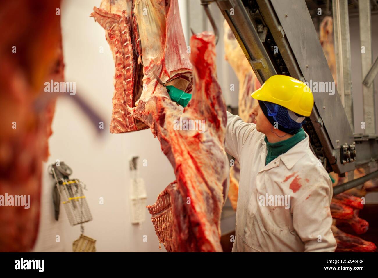 Abattoir uk hi-res stock photography and images - Alamy