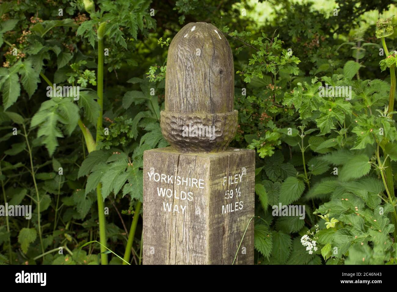 Yorkshire wolds way hi-res stock photography and images - Alamy
