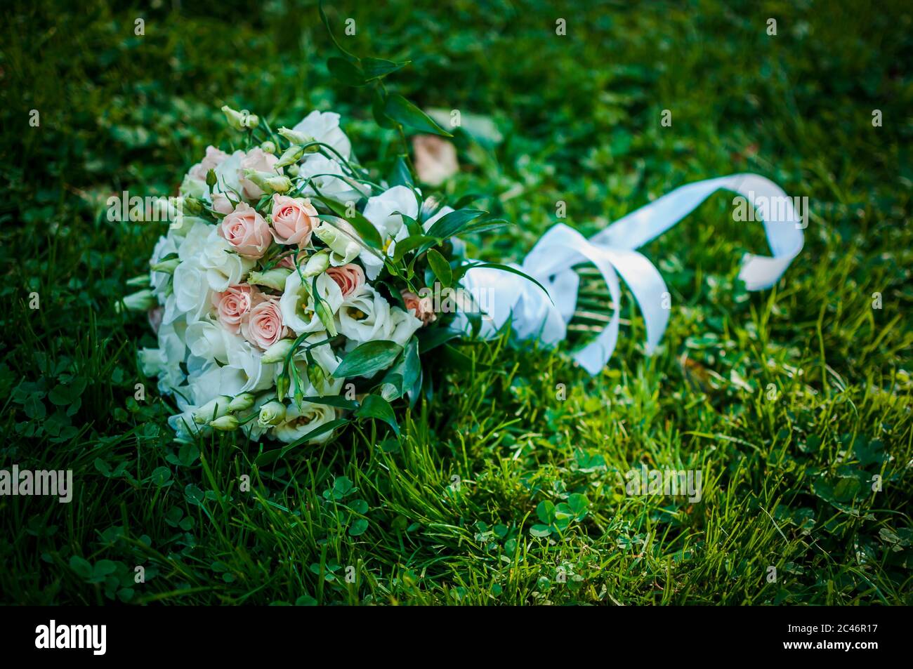 Colorfull roses hi-res stock photography and images - Alamy