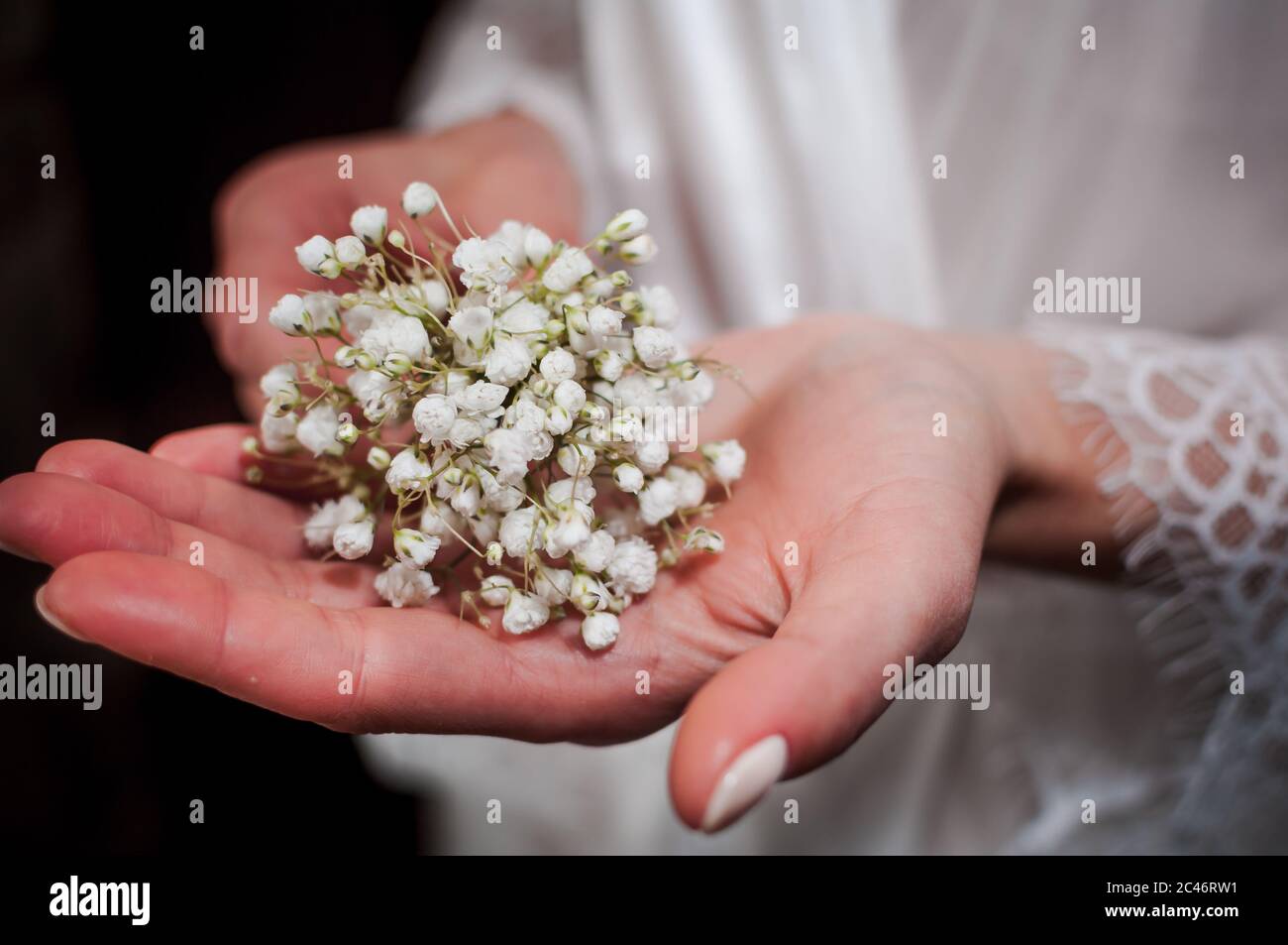 Flowers in girls hands hi-res stock photography and images - Alamy