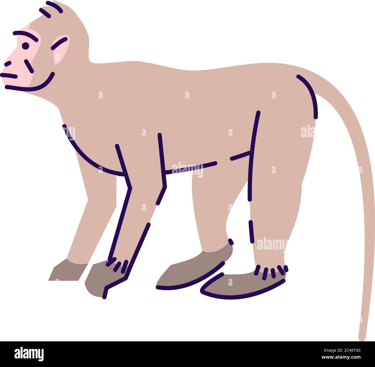 Monkey standing semi flat RGB color vector illustration Stock Vector ...
