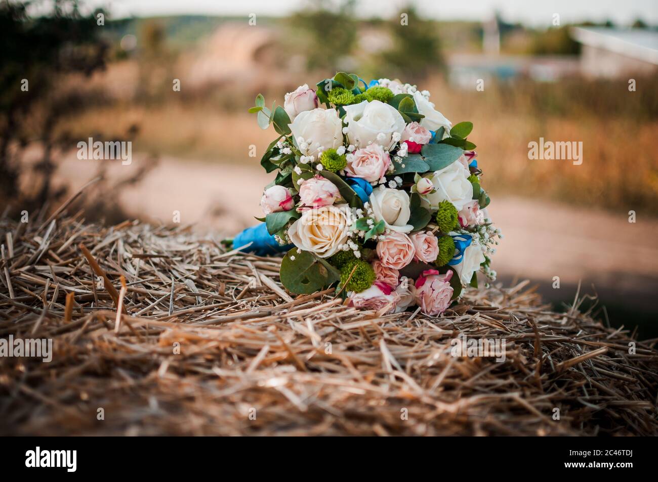 Colorfull bouquet of roses lying the stubble Stock Photo - Alamy Colorfull bouquet of roses lying the stubble Stock Photo - Alamy
