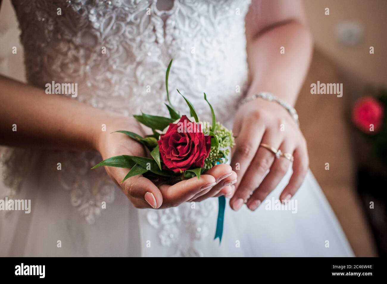 Red rose in the hands of the bride Stock Photo - Alamy