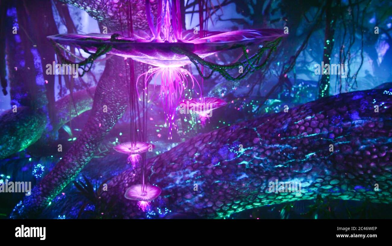 USA. A scene from ©Twentieth Century Fox film : Avatar (2009). Plot: A ...
