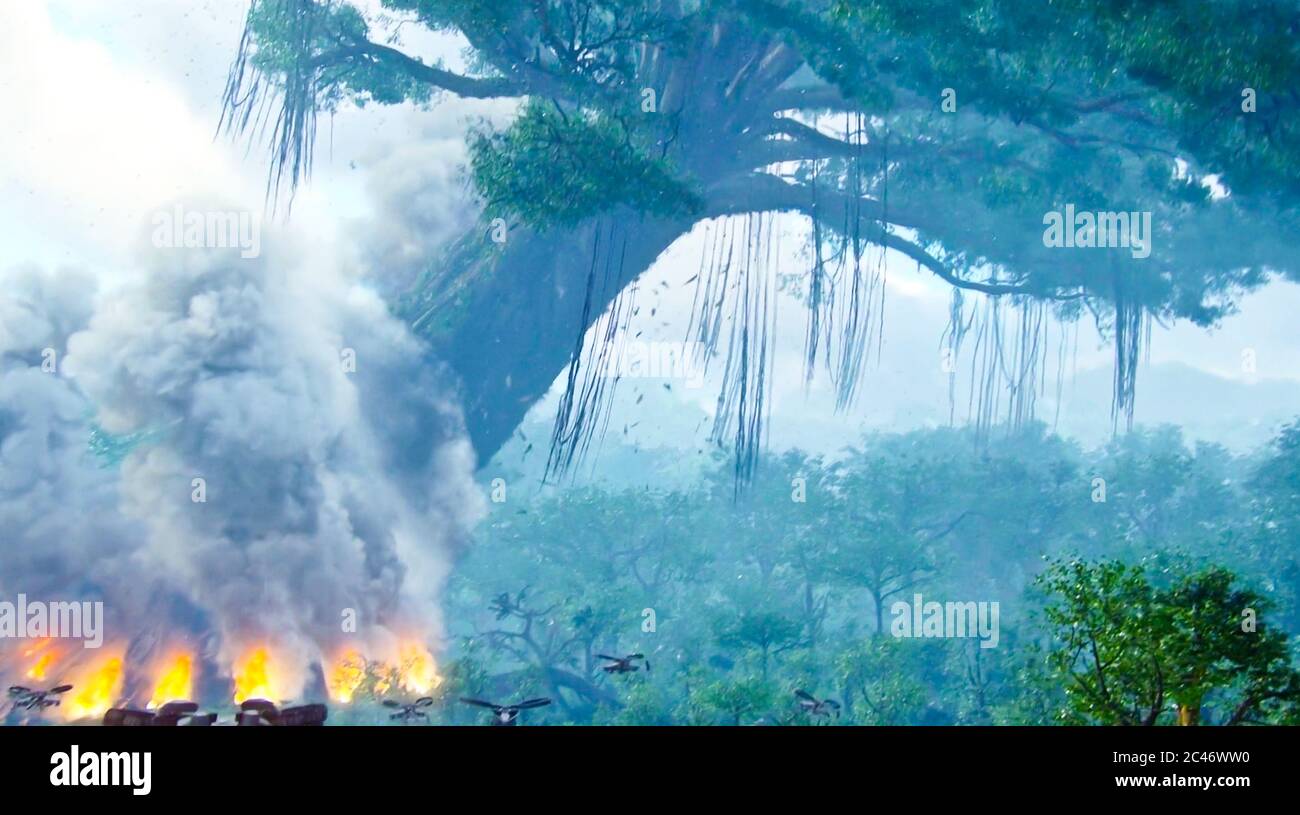 USA. A scene from ©Twentieth Century Fox film : Avatar (2009). Plot: A ...