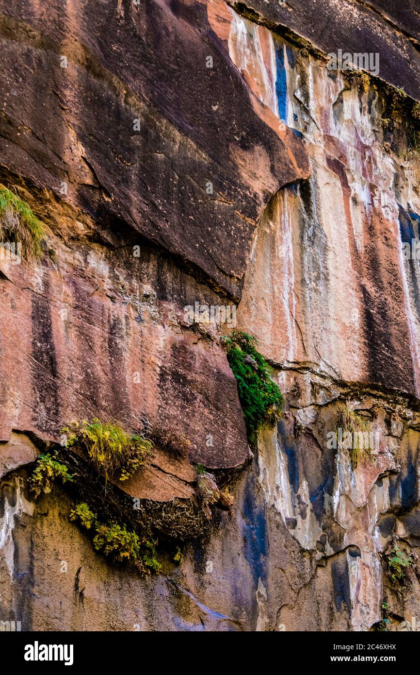 Blue color and hanging gardens on the colorful sandstone cliff walls ...