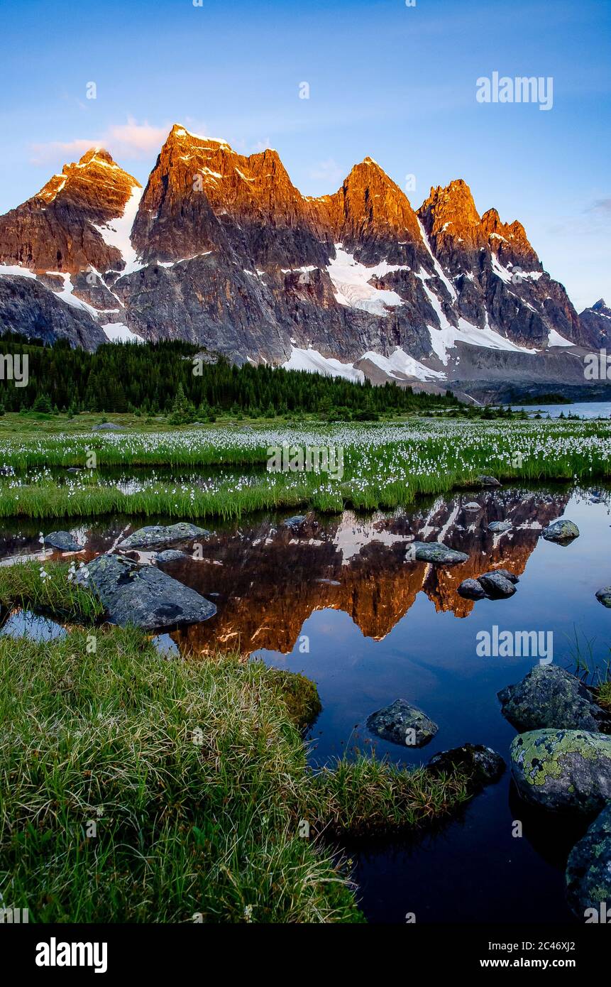 Tonquin Valley trail, Jasper National Park, Alberta, Canada Stock Photo ...