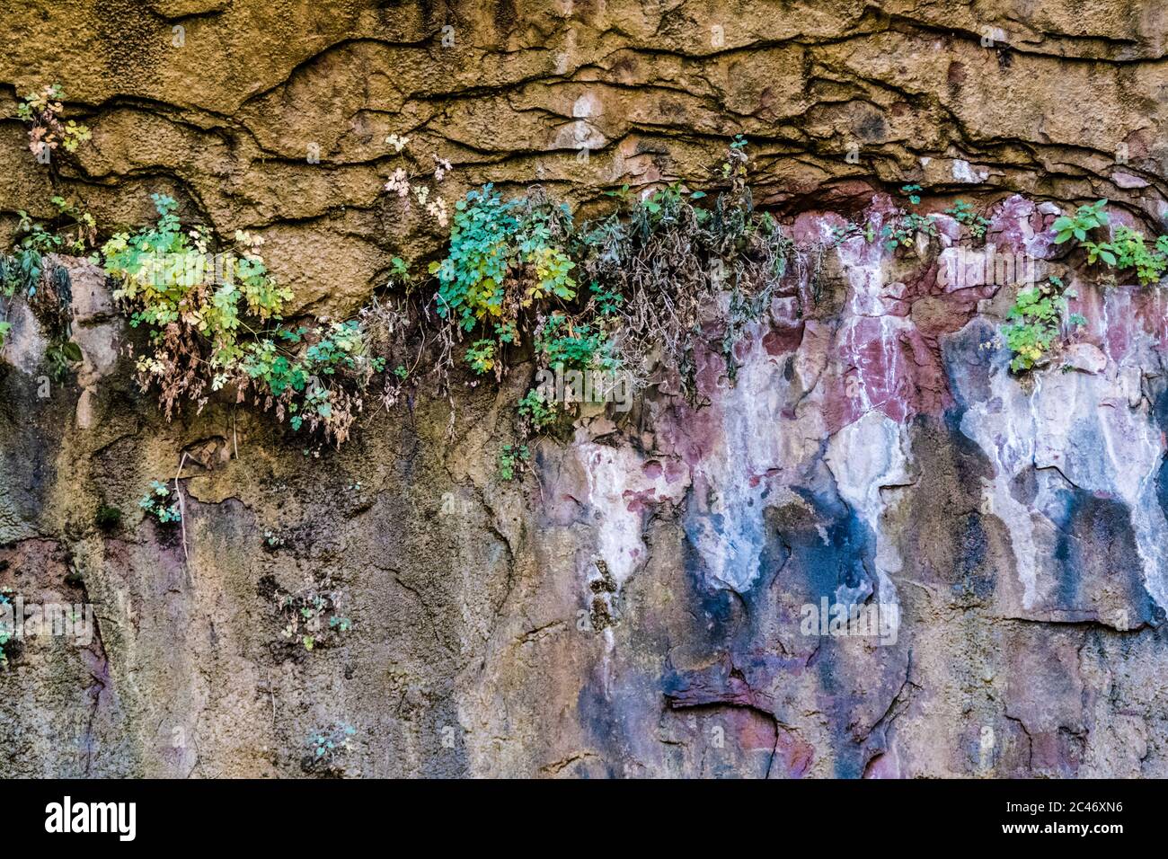 Blue color and hanging gardens on the colorful sandstone cliff walls ...