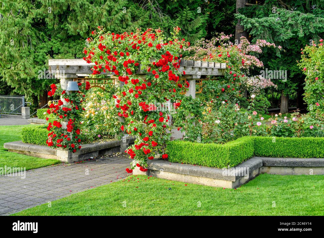 Ubc vancouver rose garden hi-res stock photography and images - Alamy