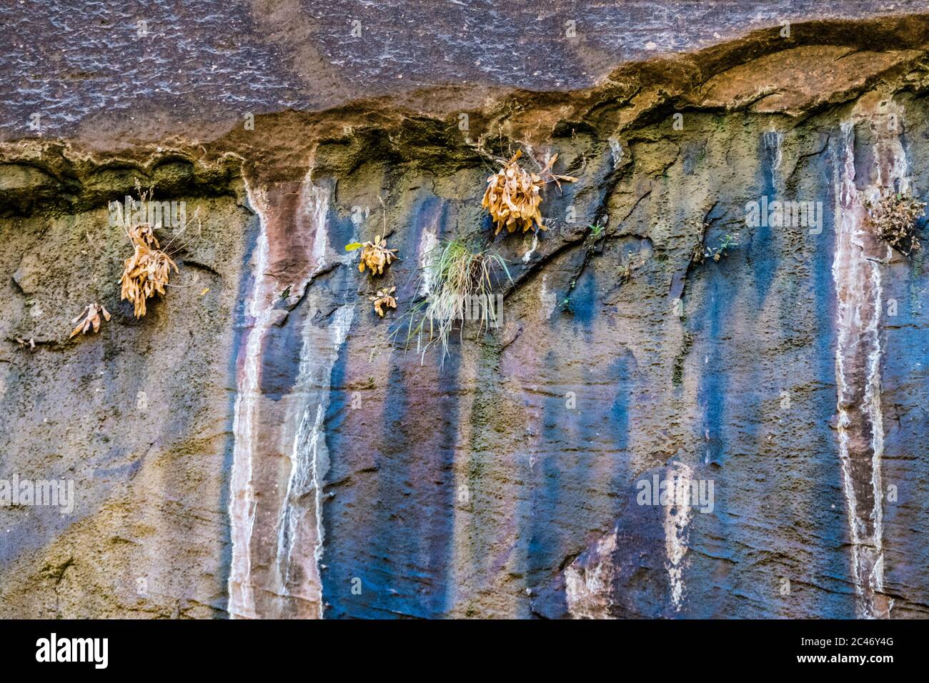 Blue color, patterns and hanging gardens on the colorful sandstone ...