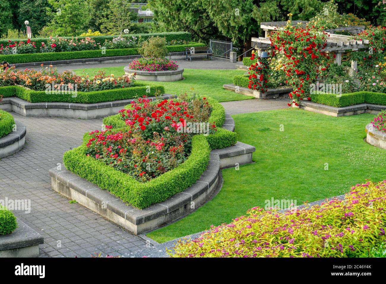 Ubc vancouver rose garden hi-res stock photography and images - Alamy