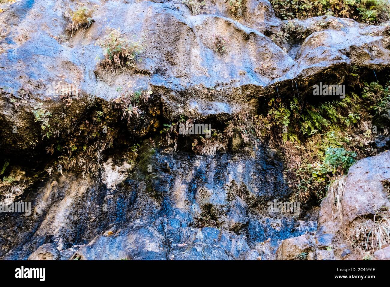 Blue color and hanging gardens on the colorful sandstone cliff walls ...