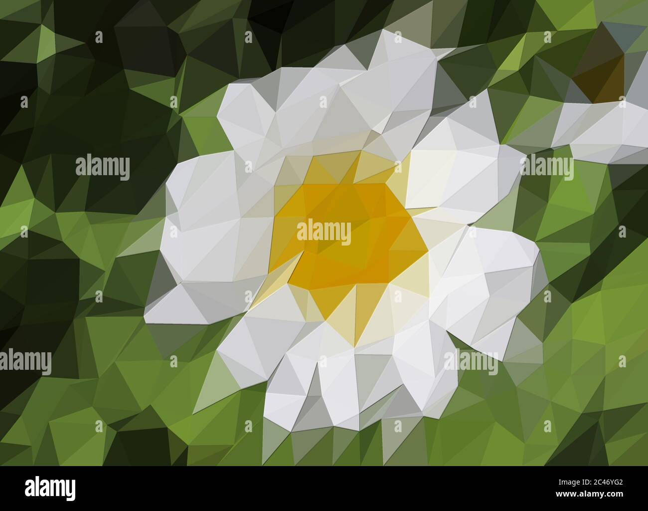 Lily flower low poly hi-res stock photography and images - Alamy