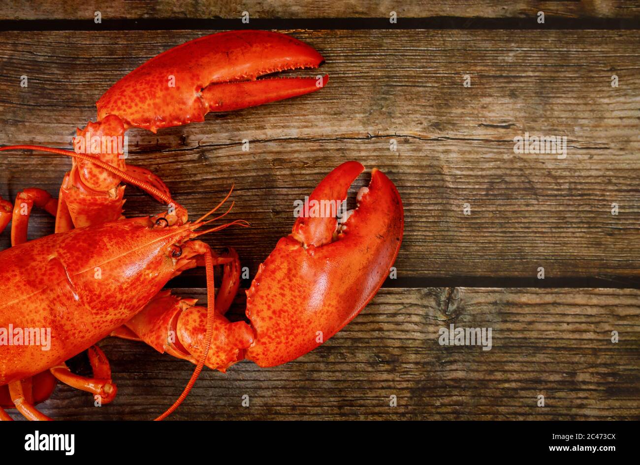 Lobster top view hi-res stock photography and images - Alamy