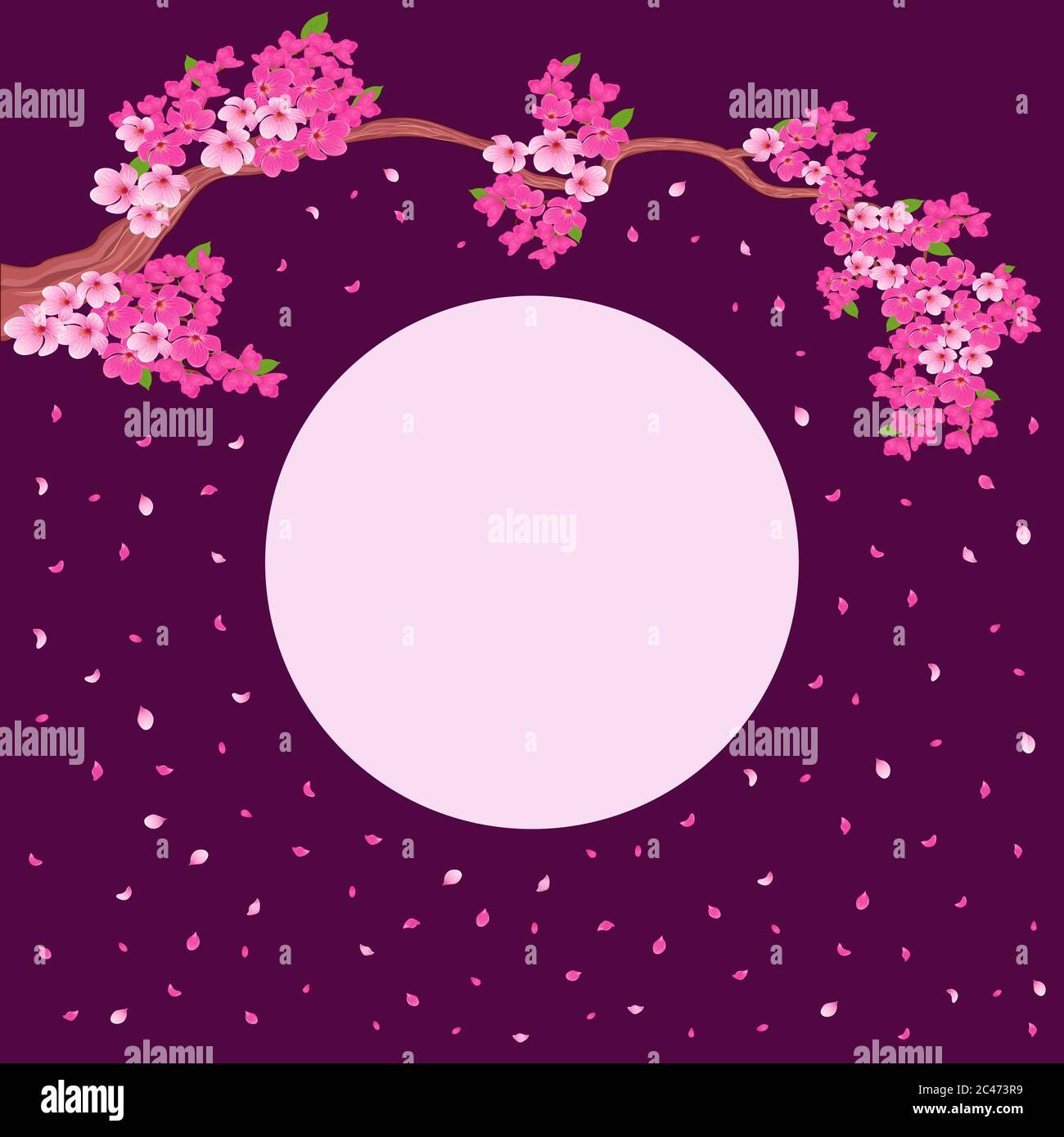 Sakura branches flowers on Stock Vector Images - Alamy