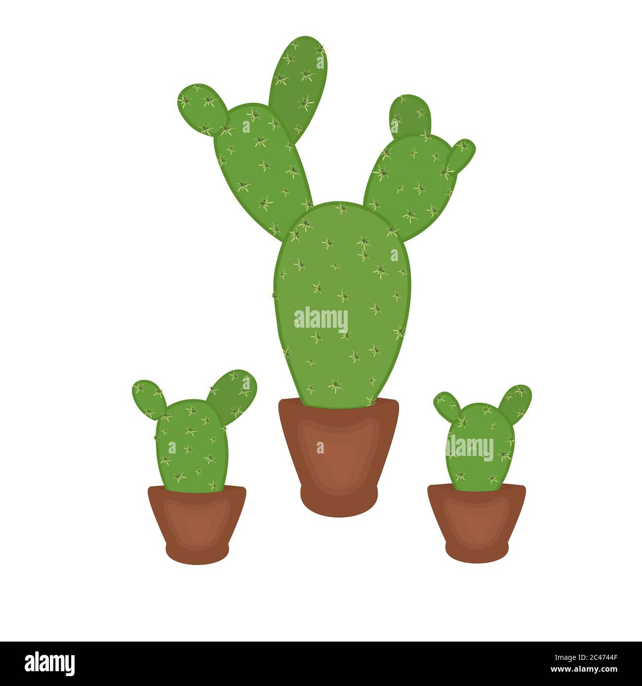 three cacti in pots hand drown vector Stock Vector Image & Art - Alamy