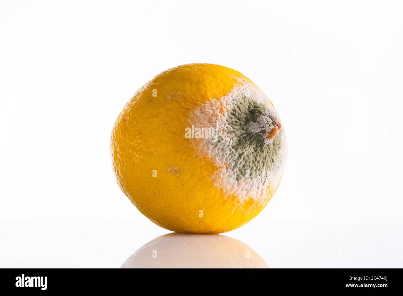 Rotten lemon on white background Stock Photo - Alamy