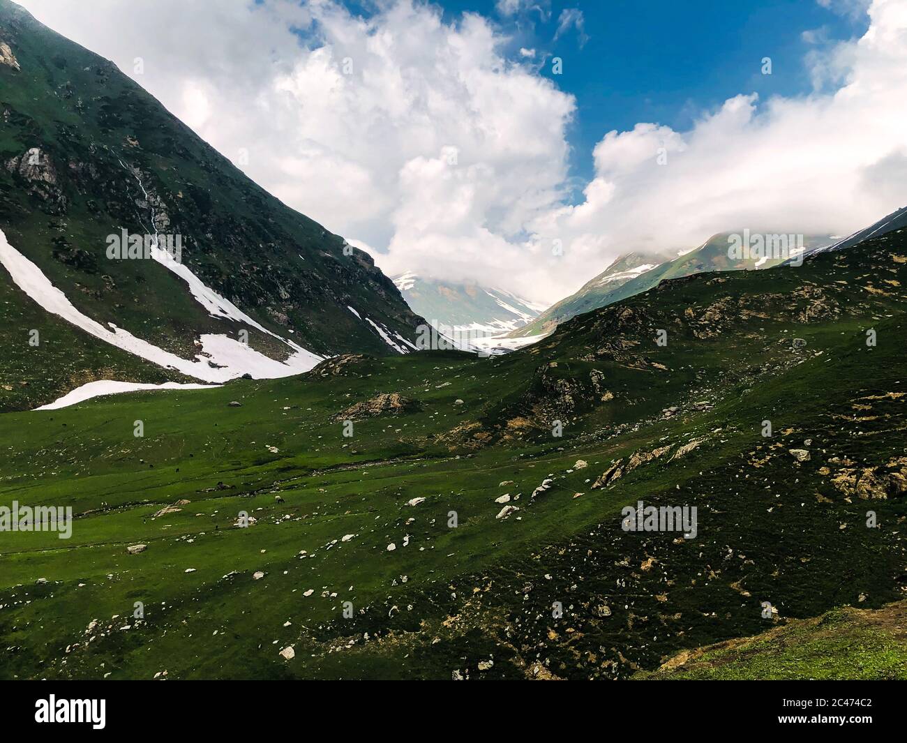 Pakistan independence day hi-res stock photography and images - Alamy