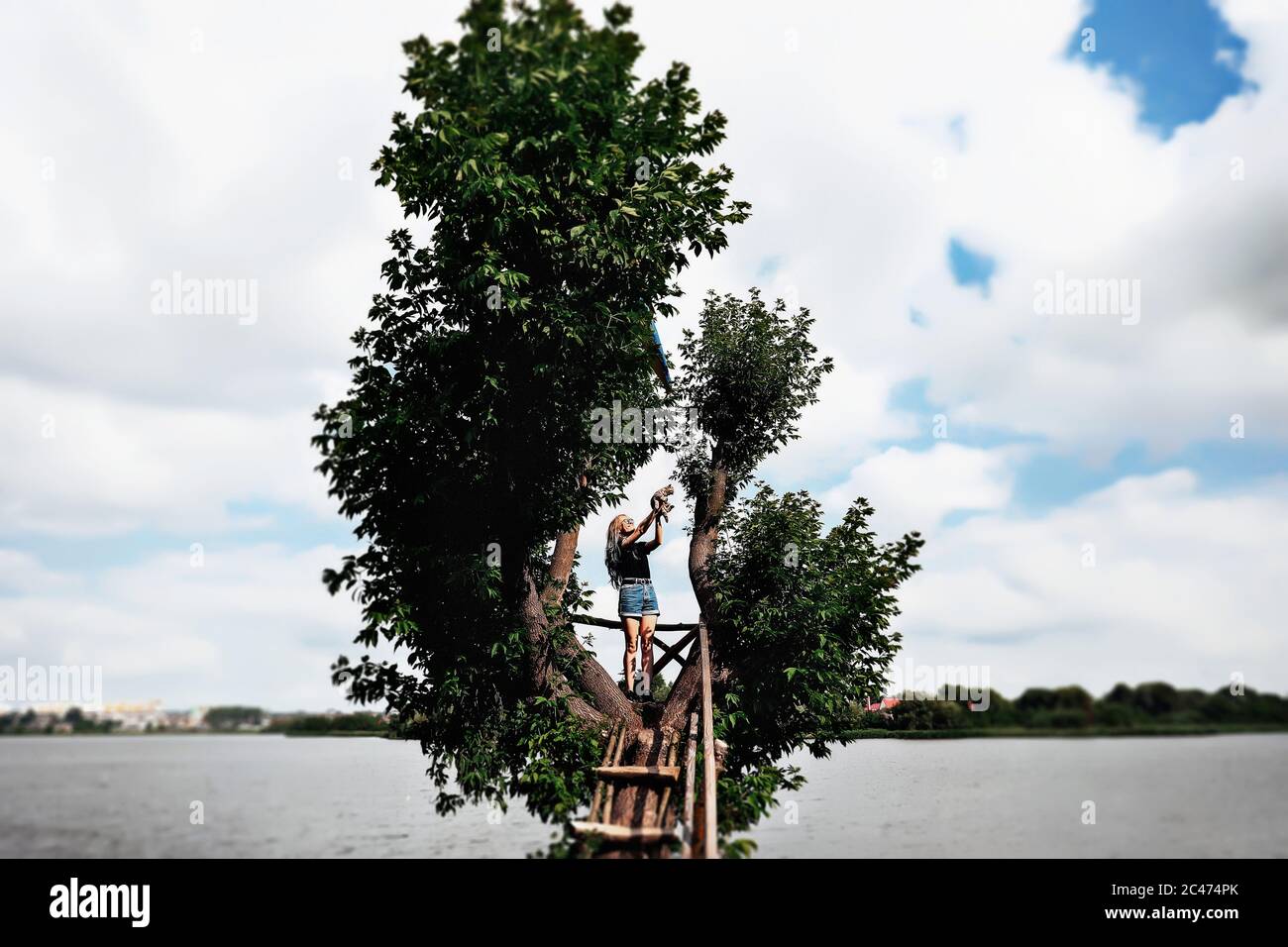 Cartoon Tree House High Resolution Stock Photography and Images - Alamy