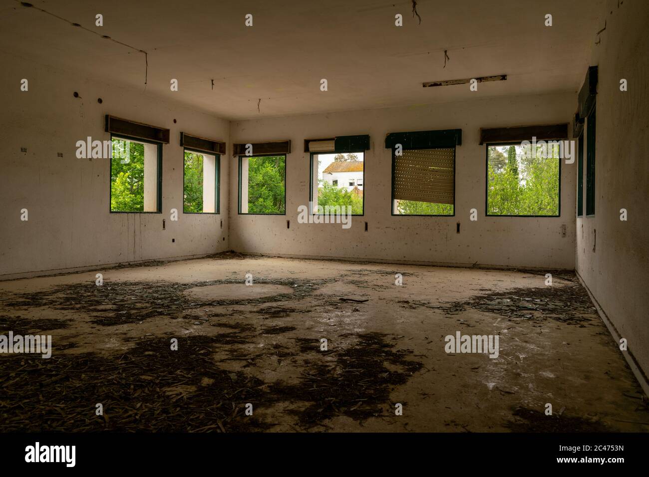 Empty abandoned room with a garden outside under the sunlight ...