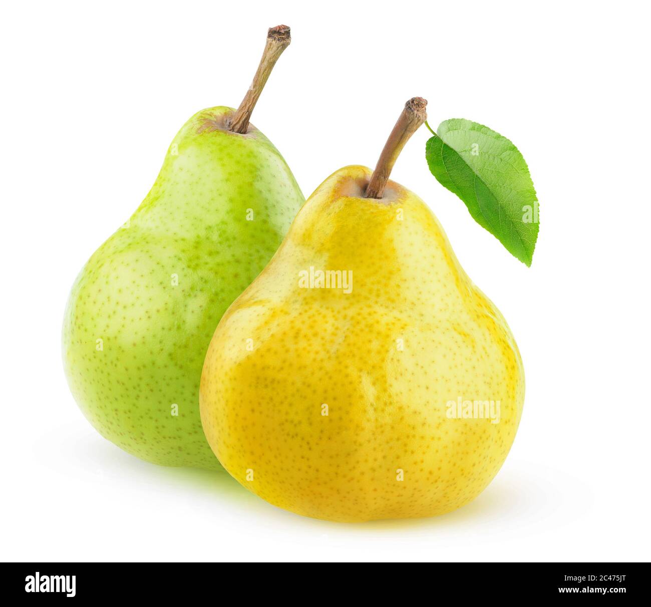 Two isolated pears. Yellow and green pear fruits isolated on white ...
