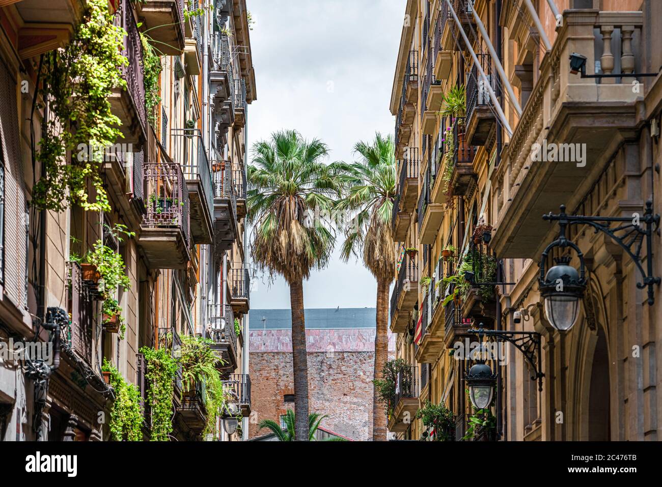 Building palm trees hi-res stock photography and images - Alamy