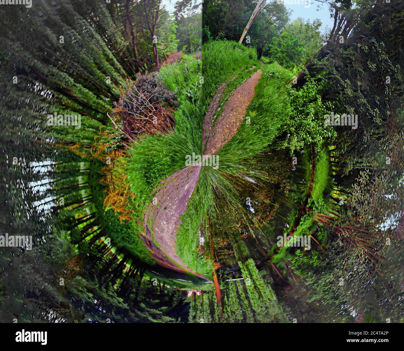 Circular panorama of green forest and trail in the center Stock Photo ...