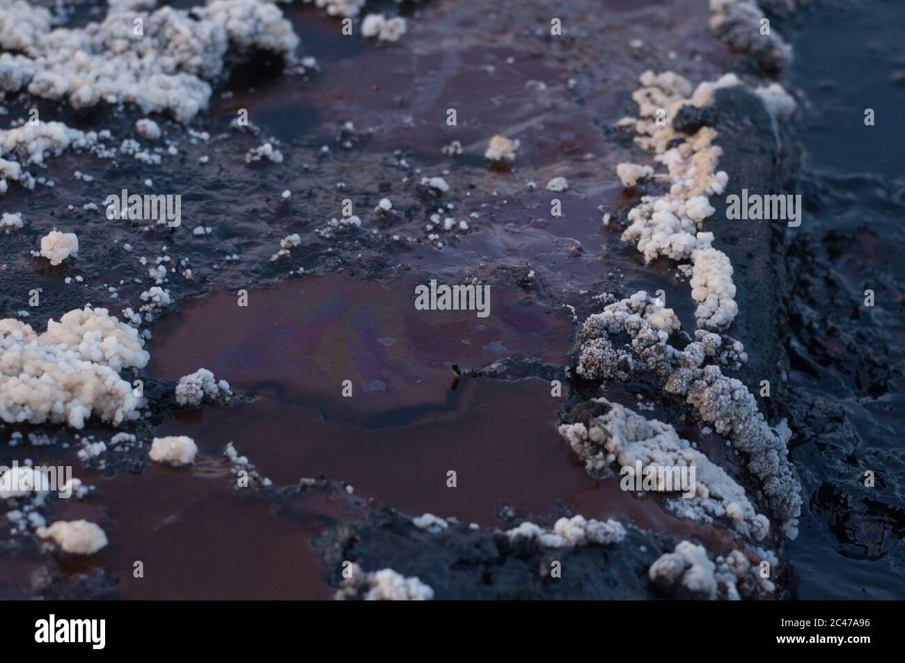Mud and white crystalline deposits in the swamp Stock Photo - Alamy